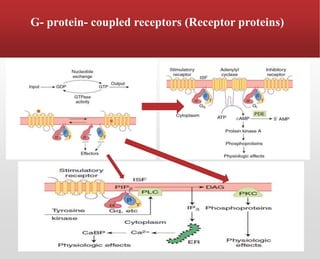 Cell signalling | PPT