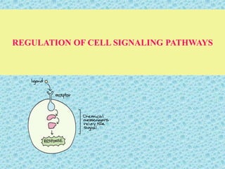 Cell signalling | PPT