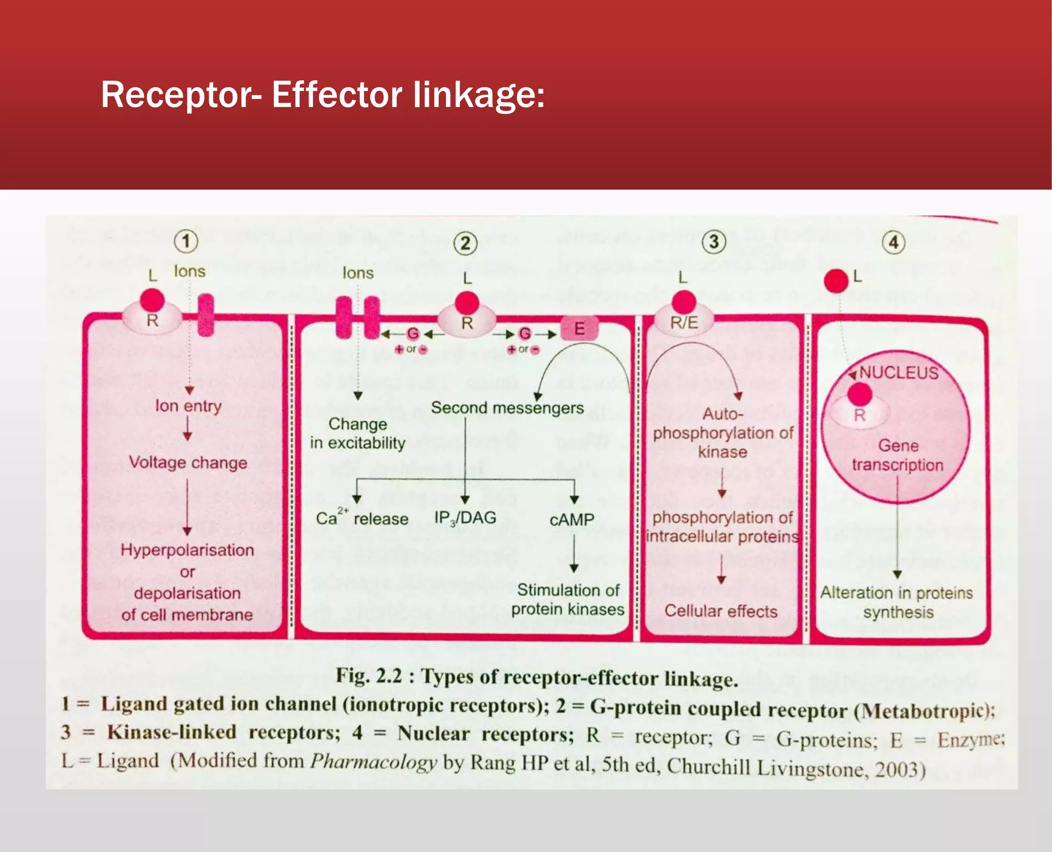 Cell signalling | PPTX