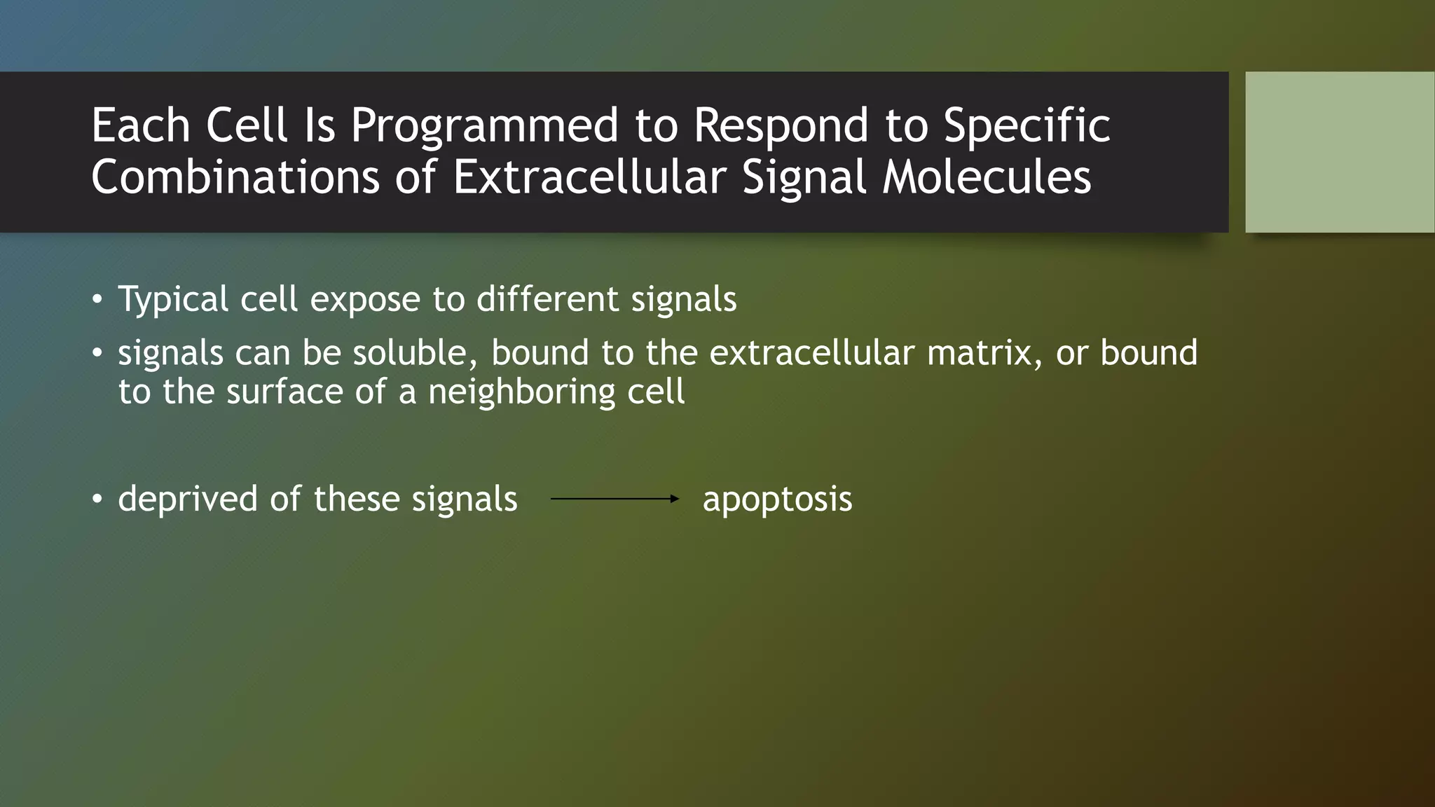 Cell Signalling Pathway (intra and extra cellular signalling) | PPTX