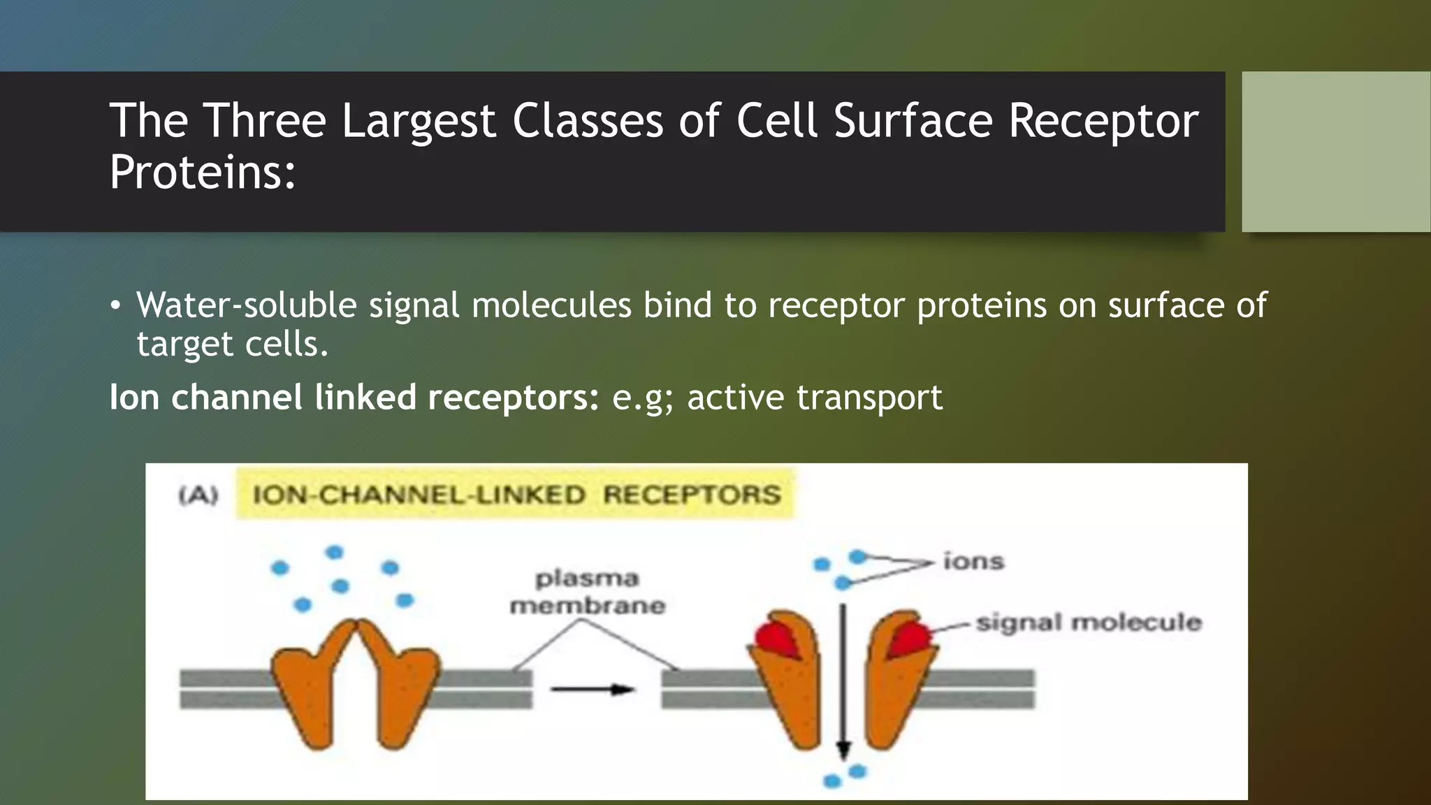 Cell Signalling Pathway (intra and extra cellular signalling) | PPTX