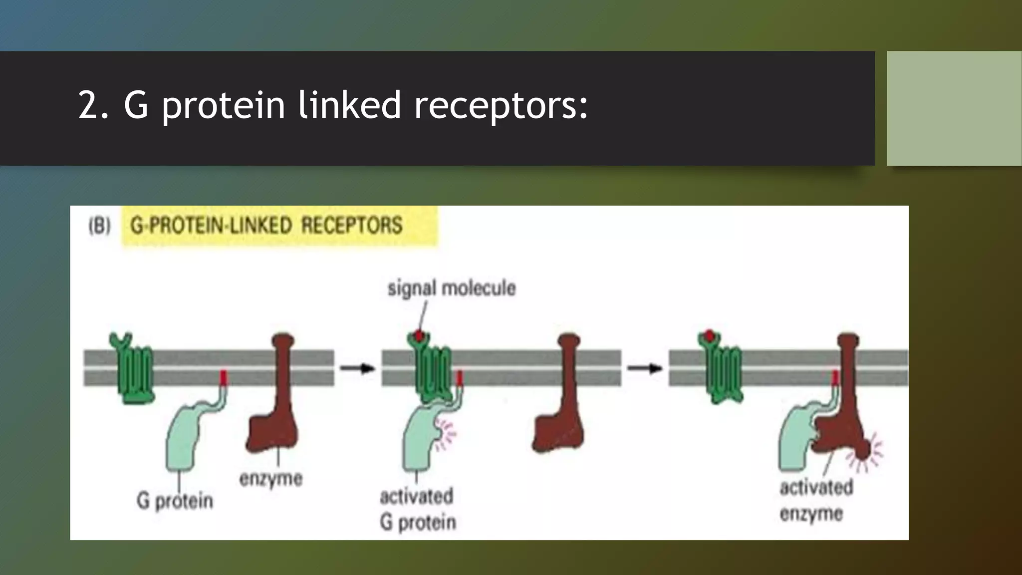 Cell Signalling Pathway (intra and extra cellular signalling) | PPTX