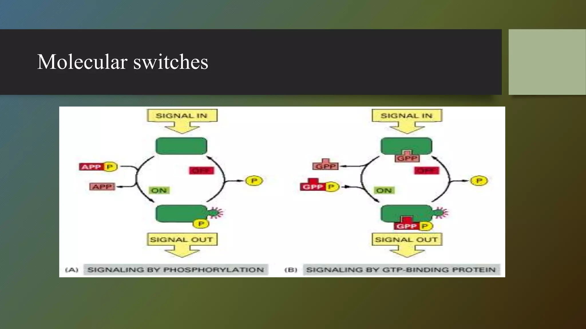 Cell Signalling Pathway (intra and extra cellular signalling) | PPTX
