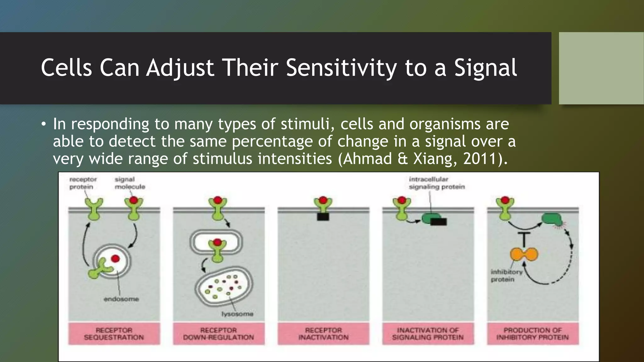 Cell Signalling Pathway (intra and extra cellular signalling) | PPTX