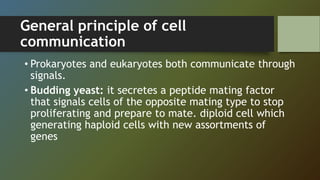 Cell Signalling Pathway (intra and extra cellular signalling) | PPTX