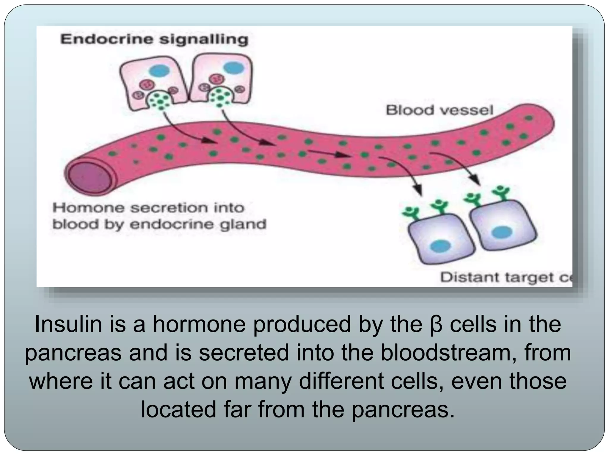 Cell - signalling, Communication, Junctions | PPTX
