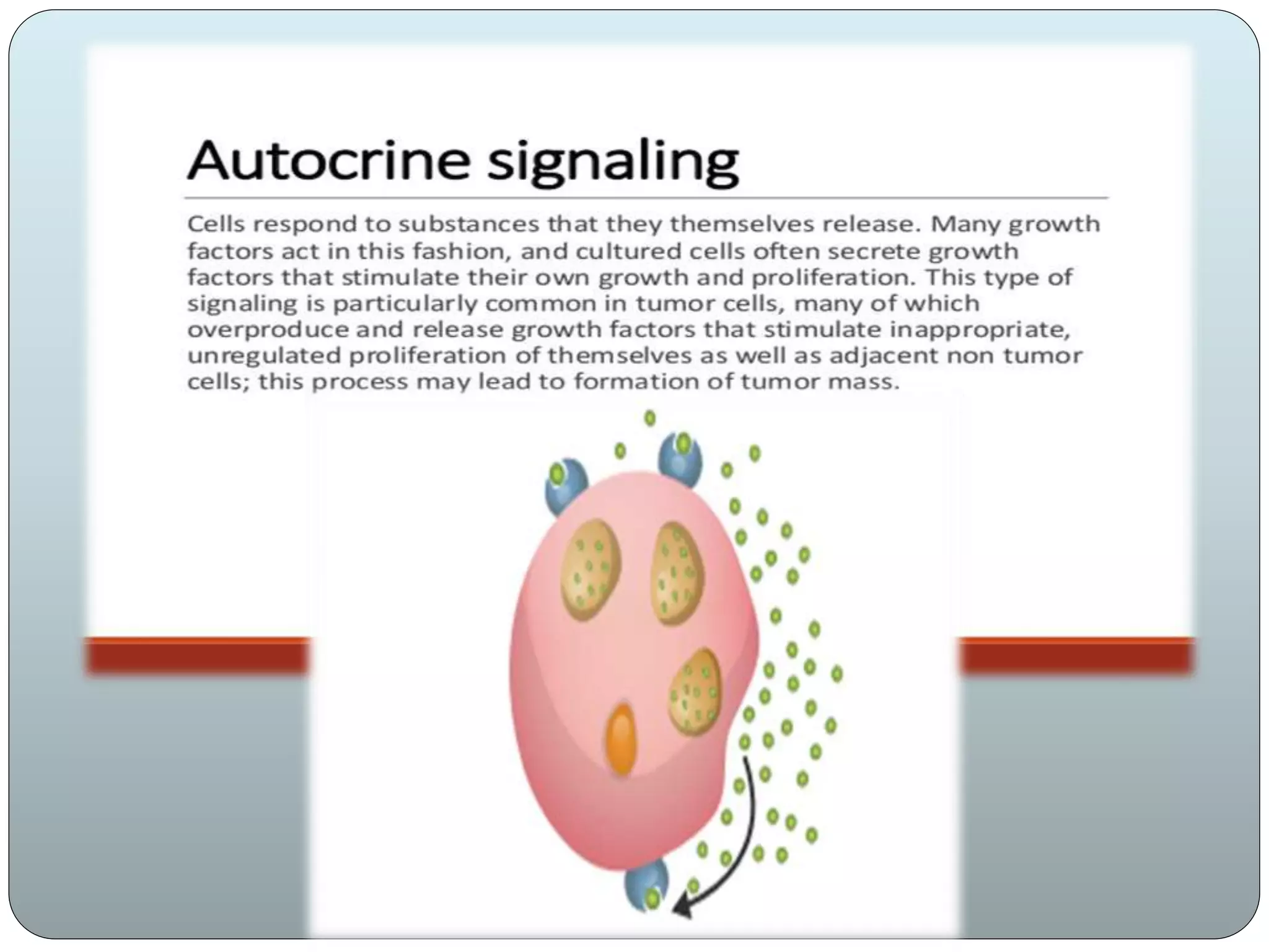 Cell - signalling, Communication, Junctions | PPTX
