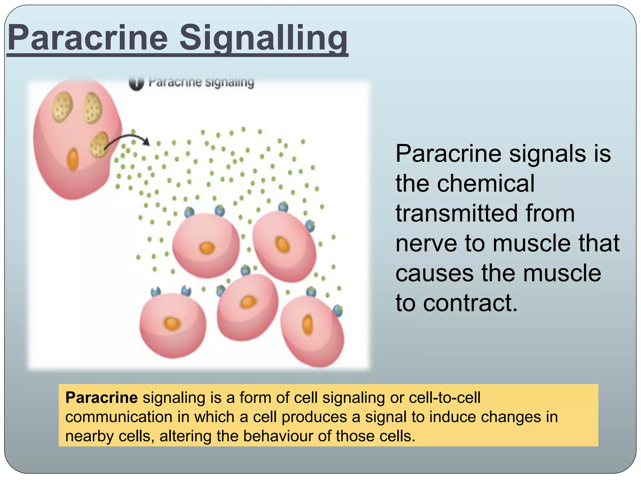Cell - signalling, Communication, Junctions | PPTX