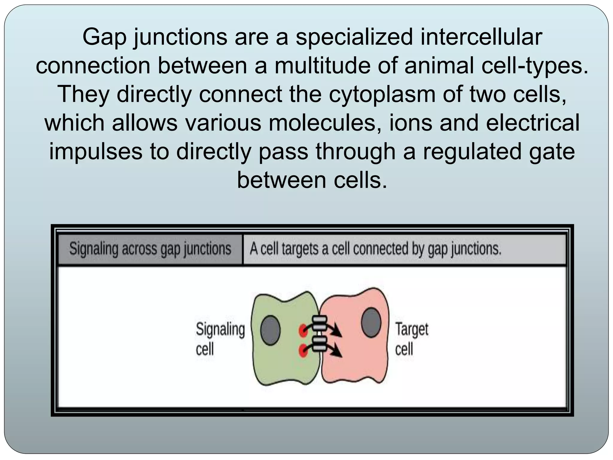 Cell - signalling, Communication, Junctions | PPTX