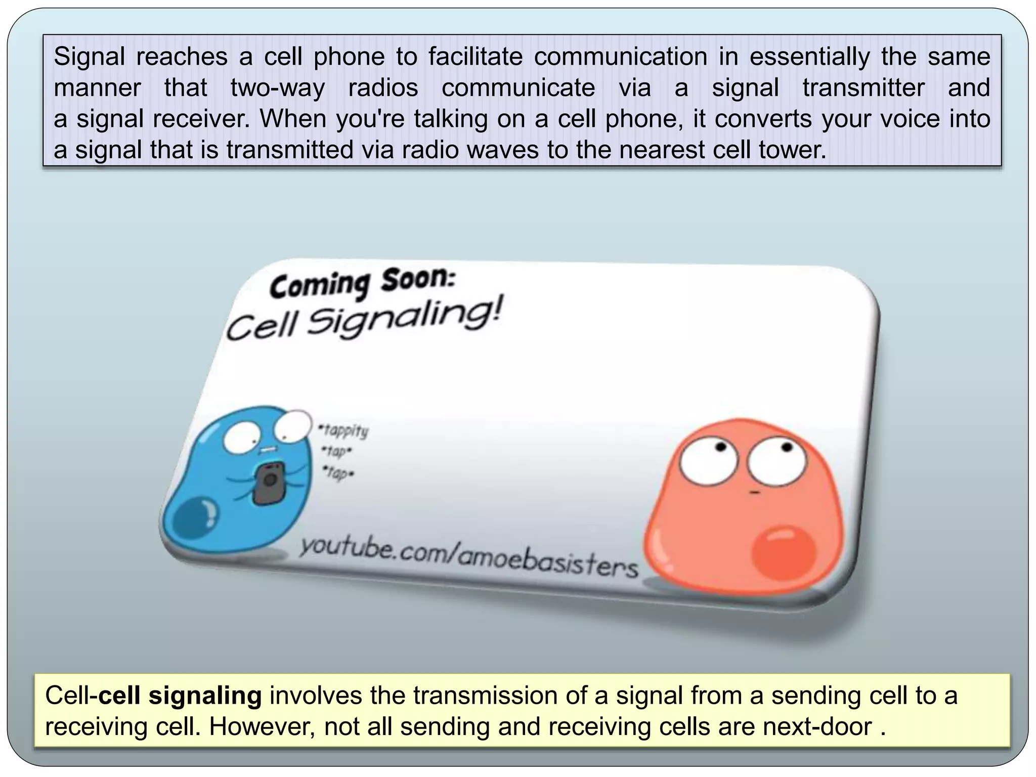 Cell - signalling, Communication, Junctions | PPTX