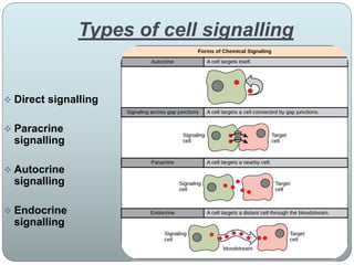 Cell - signalling, Communication, Junctions | PPTX