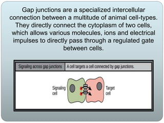 Cell - signalling, Communication, Junctions | PPTX