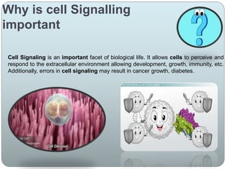 Cell - signalling, Communication, Junctions | PPTX