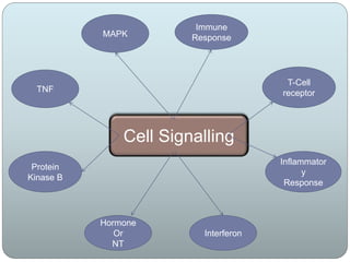Cell - signalling, Communication, Junctions | PPTX
