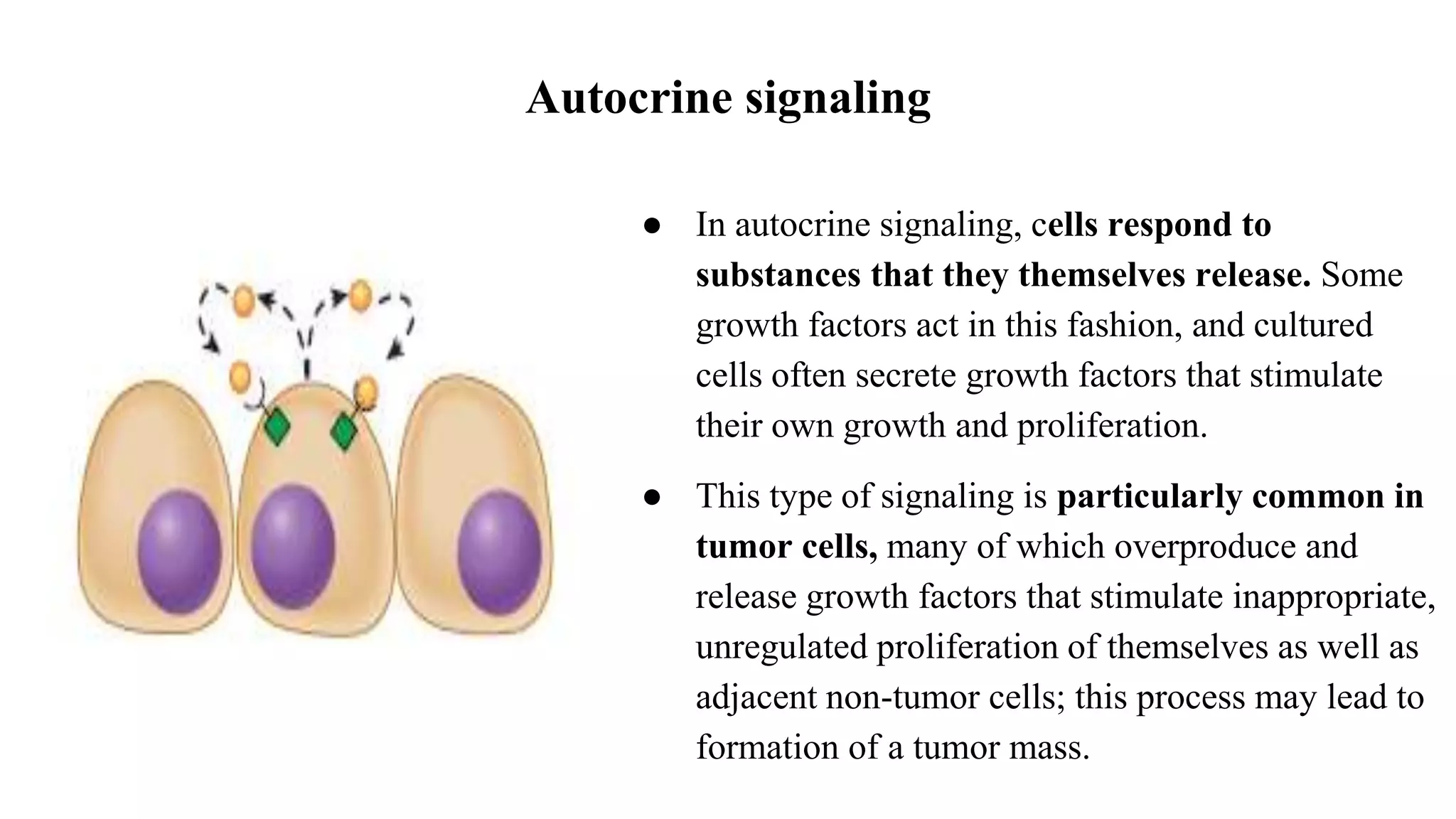 _Cell Signalling .pptx