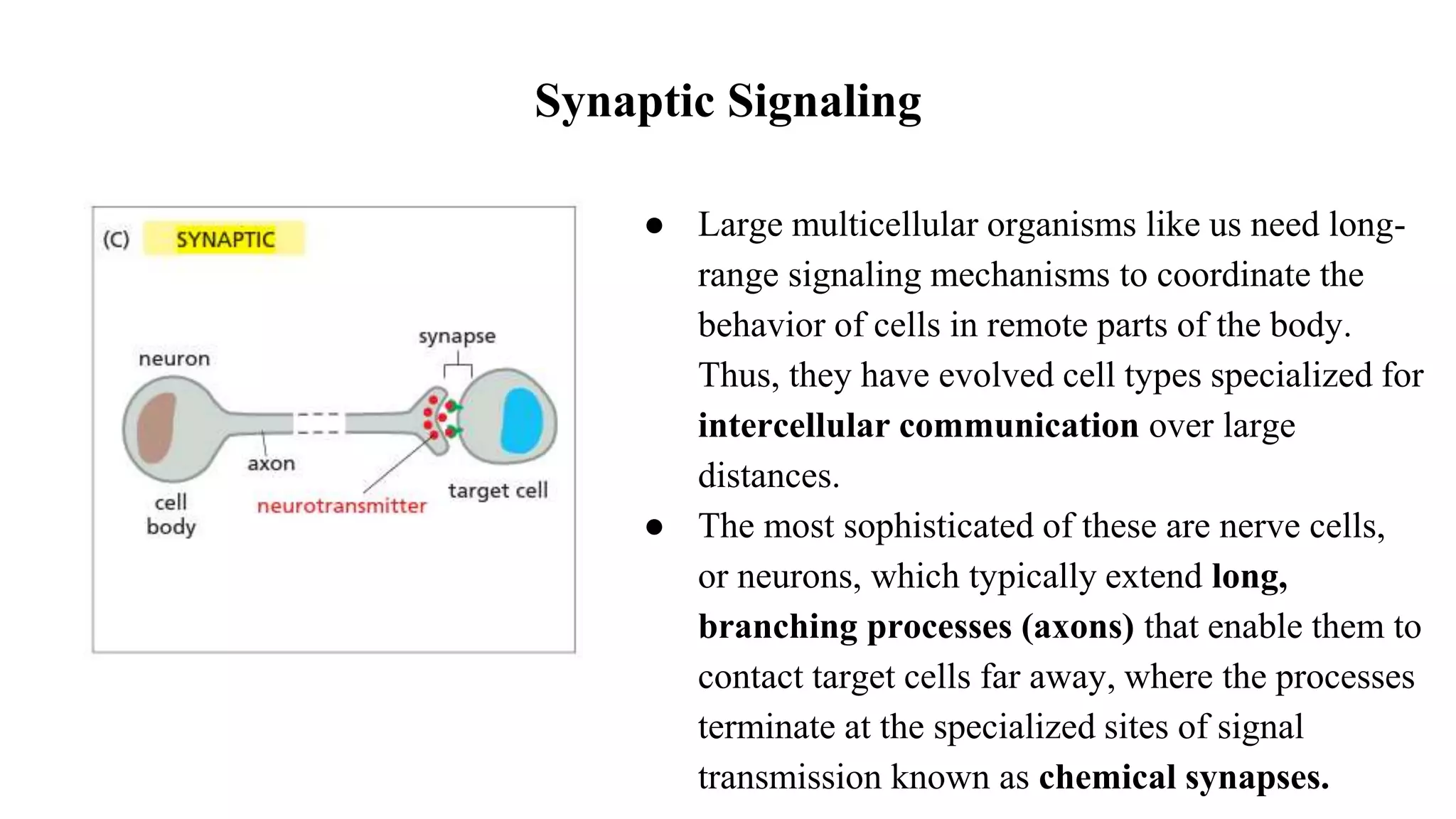 _Cell Signalling .pptx