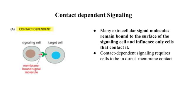_Cell Signalling .pptx