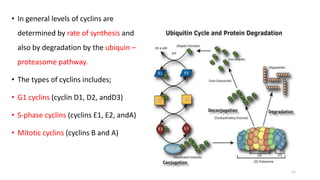 CELL SIGNALLING.pptx