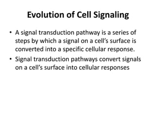 Cell Signalling.pptx