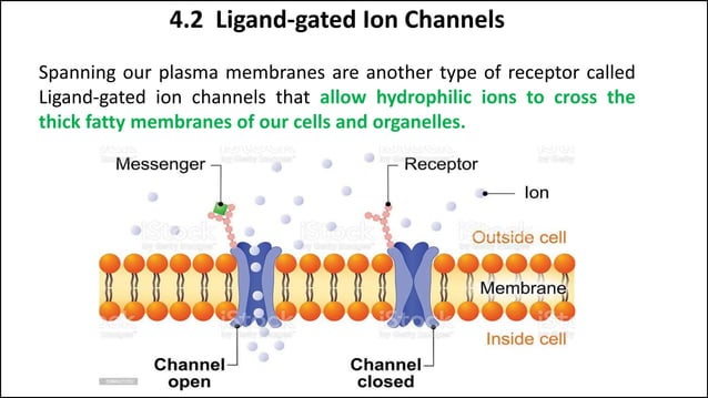 Cell signalling and its various types and signal molecules | PPTX ...