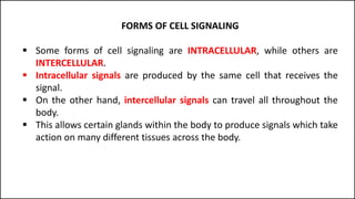 Cell signalling and its various types and signal molecules | PPTX