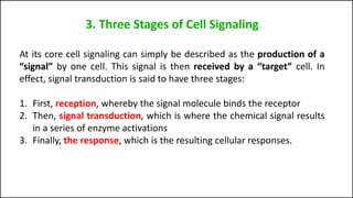 Cell signalling and its various types and signal molecules | PPTX