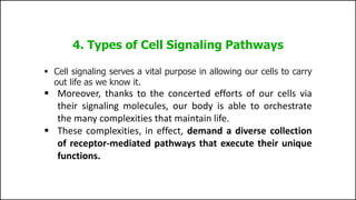 Cell signalling and its various types and signal molecules | PPTX