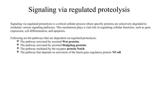 Cell signaling: G-Protein, tyrosine kinase and proteolysis | PPTX