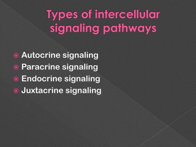 cell signalling , intracellular, extracellular pathway | PPT