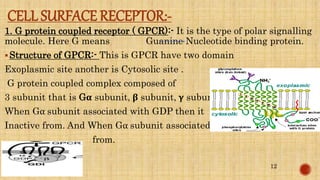 CELL SIGNALlING pptx | PPTX
