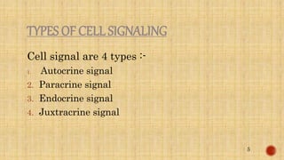 CELL SIGNALlING pptx | PPTX | Endocrine and Metabolic Diseases | Diseases and Conditions