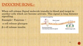 CELL SIGNALlING pptx | PPTX | Endocrine and Metabolic Diseases ...