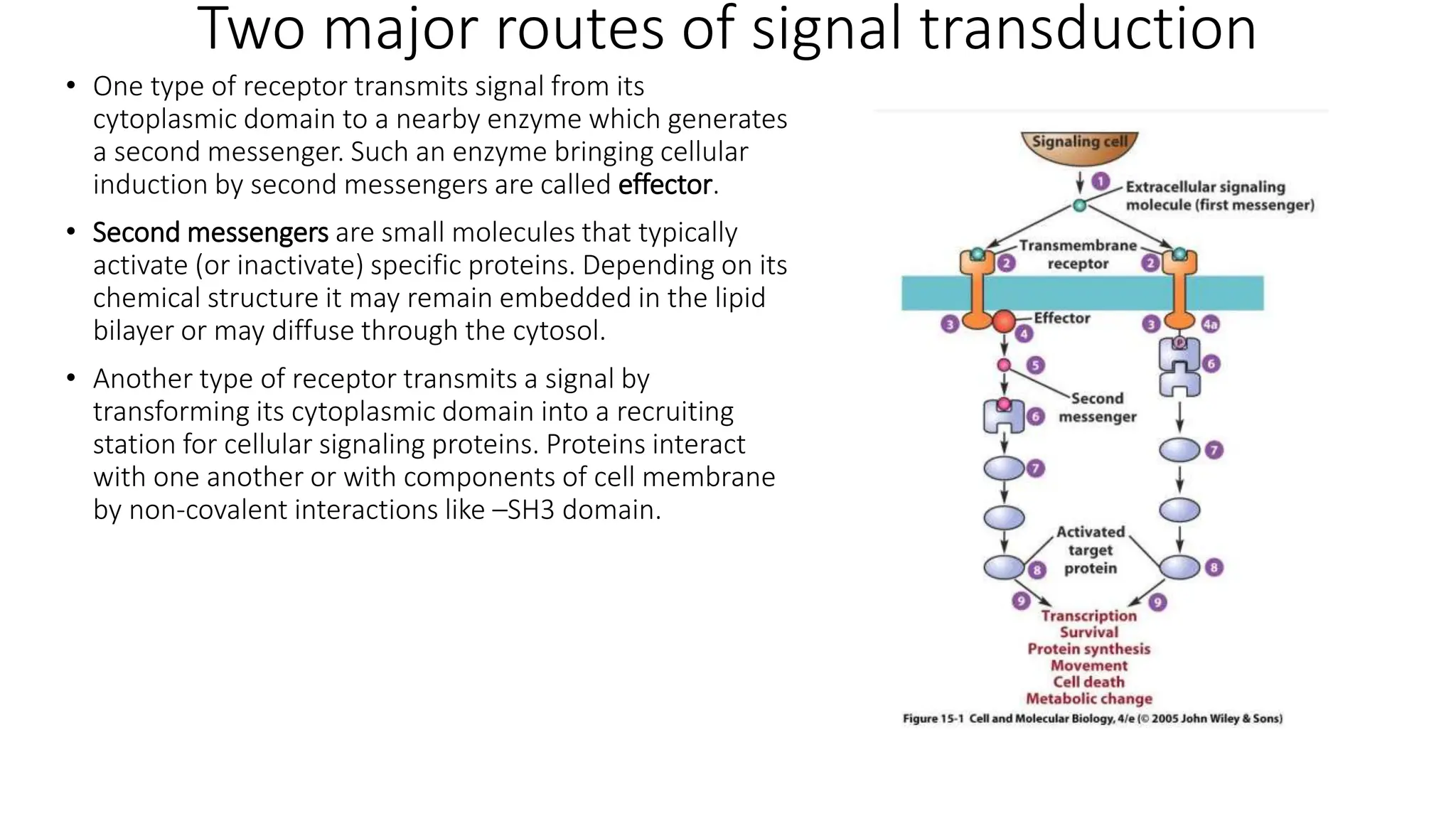 cell signalling & communication of cells.ppt | Biological Sciences ...