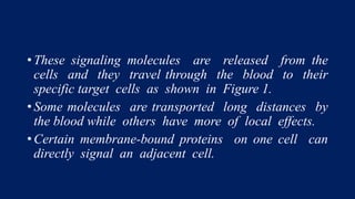 Introduction to Cell signalling | PPTX