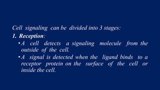 Introduction to Cell signalling | PPTX
