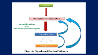 Cell Signal Amplification