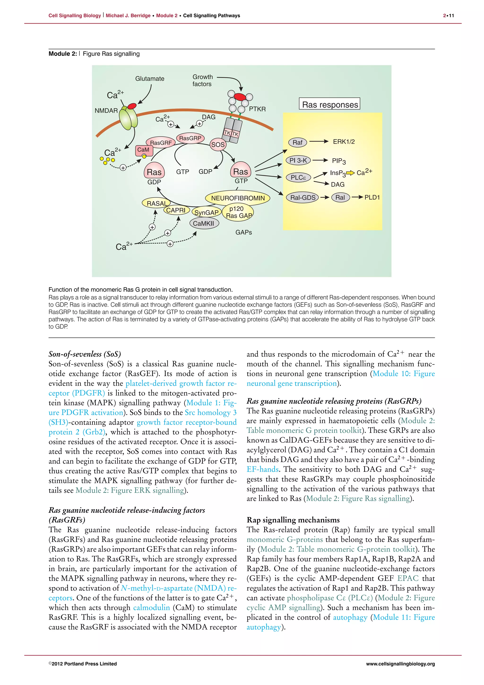 Cell signalling pathway | PDF | Endocrine and Metabolic Diseases ...