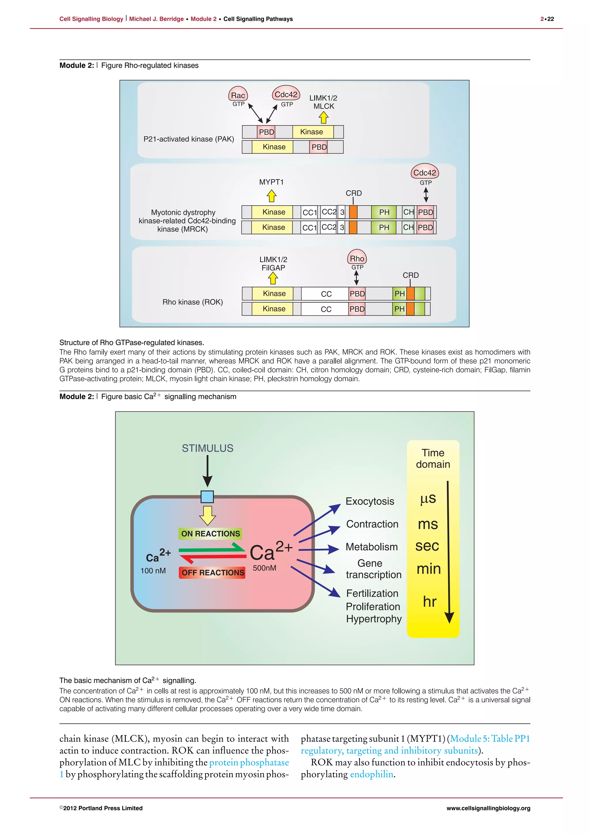 Cell signalling pathway | PDF | Endocrine and Metabolic Diseases ...