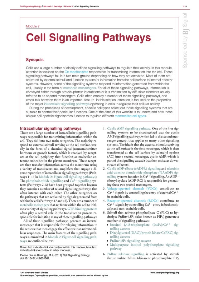 Cell signalling pathway | PDF | Endocrine and Metabolic Diseases ...