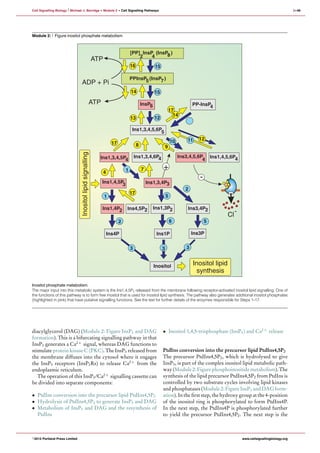 Cell signalling pathway | PDF