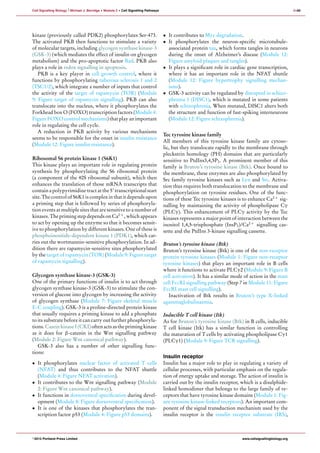Cell signalling pathway | PDF