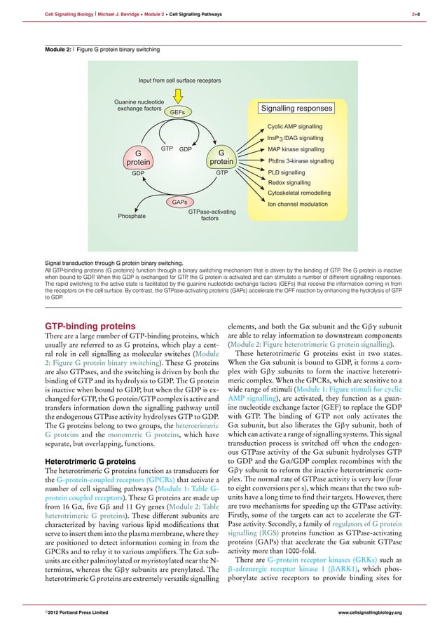 Cell signalling pathway | PDF | Endocrine and Metabolic Diseases ...