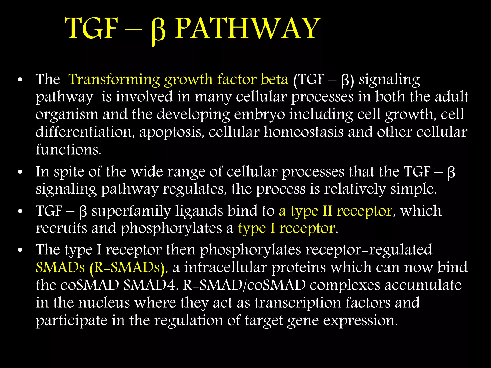 TGF Beta Pathway and Inositol Phosphate Pathway In Cell Signalling | PPTX