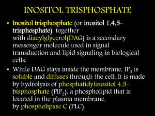 TGF Beta Pathway and Inositol Phosphate Pathway In Cell Signalling | PPTX