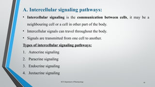 "Cell Signaling Pathways: Mechanisms and Molecular Messengers" | PPTX