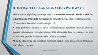 "Cell Signaling Pathways: Mechanisms and Molecular Messengers" | PPTX