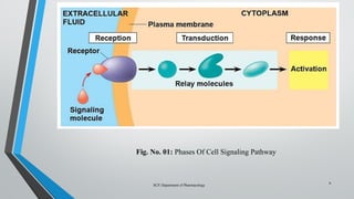 "Cell Signaling Pathways: Mechanisms and Molecular Messengers" | PPTX