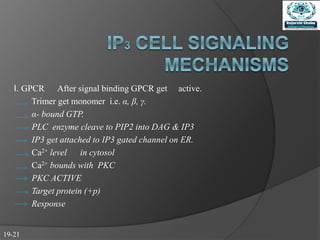 Cell signalling presentation By Nitin K (1).pptx