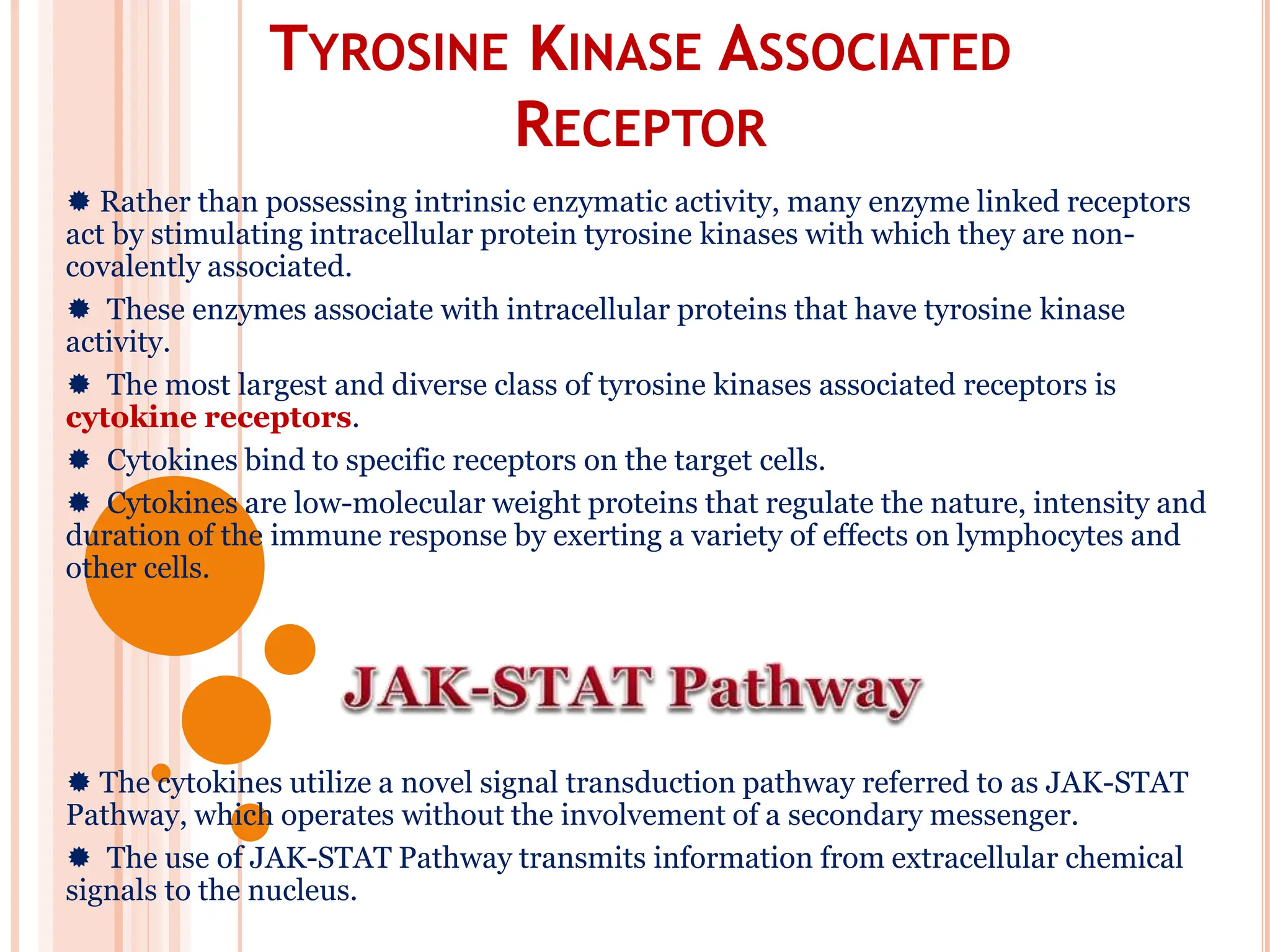 Cell signalling through MAP-Kinase and JAK STAT pathway.pptx