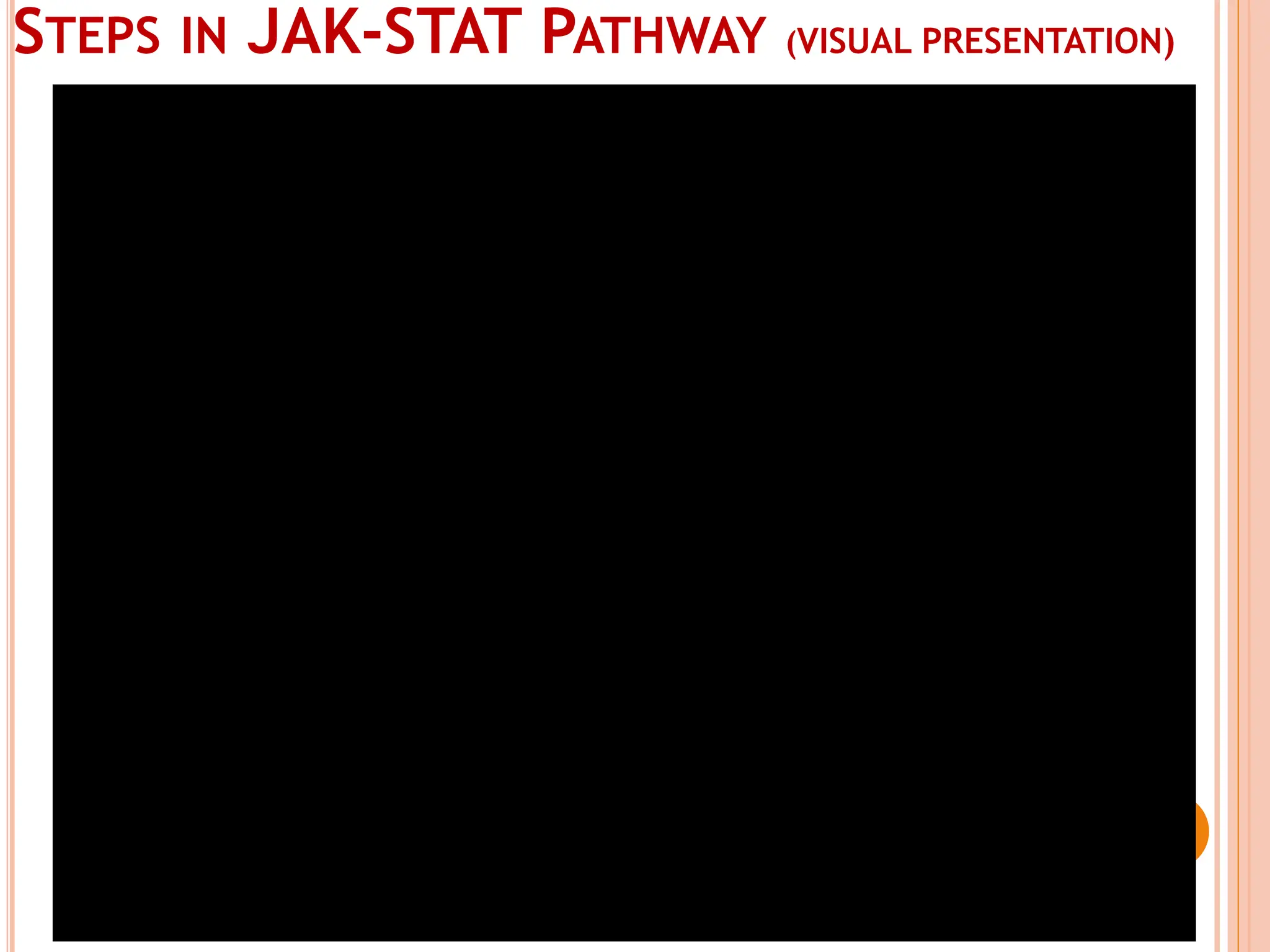 Cell signalling through MAP-Kinase and JAK STAT pathway.pptx